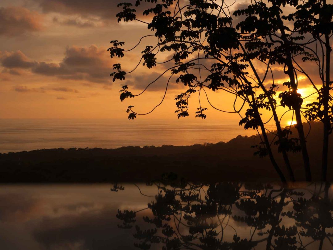 12 Reasons to Love Uvita, Costa Rica + Travel Tips and 19 Photos - De ...